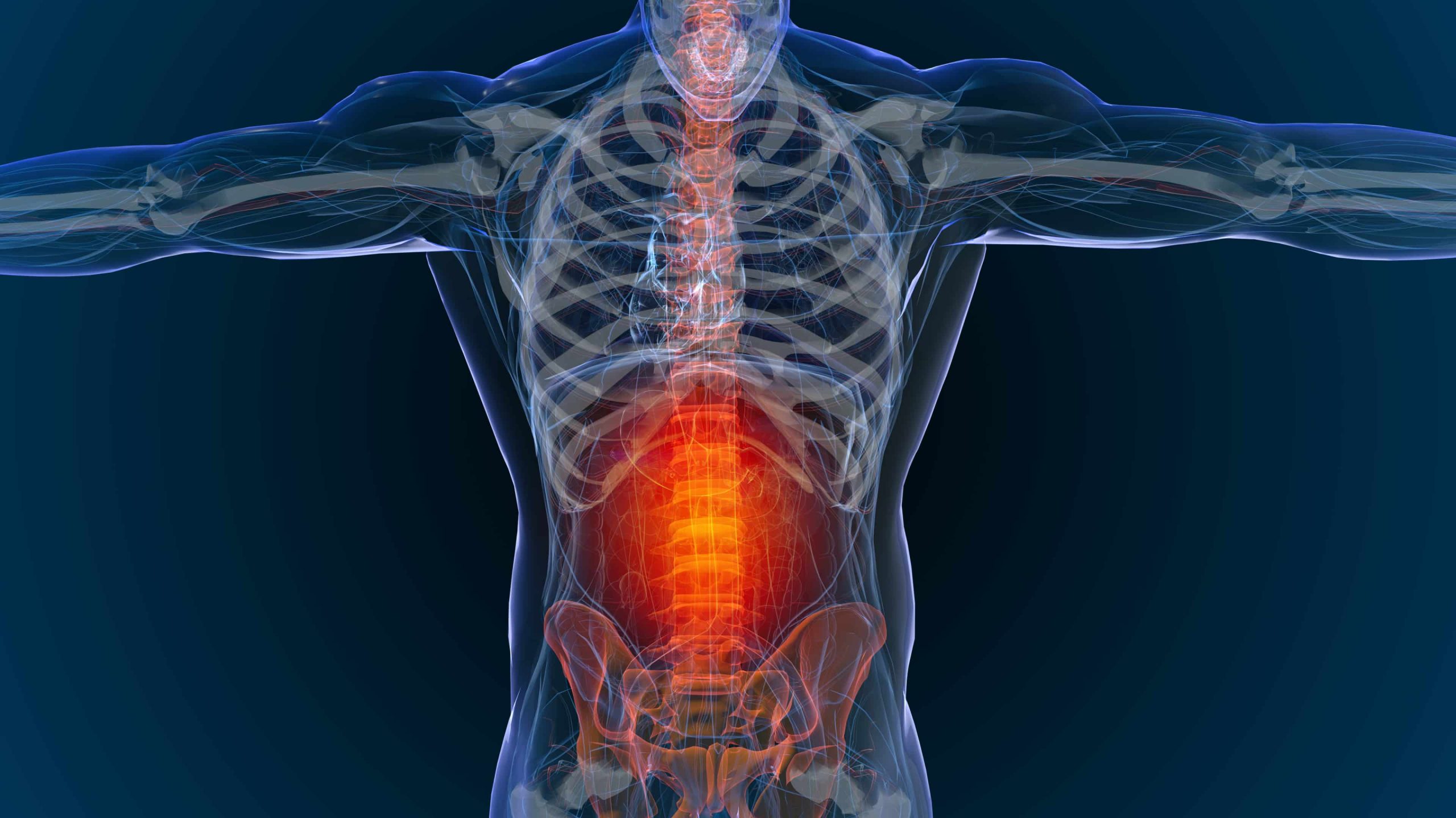 Types of Spinal Cord Injuries | Personal Injury | Sobo & Sobo